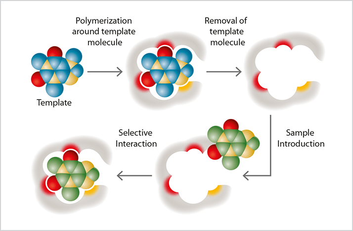 The Analytical Scientist | Aminoglycoside Analysis in Honey Using ...